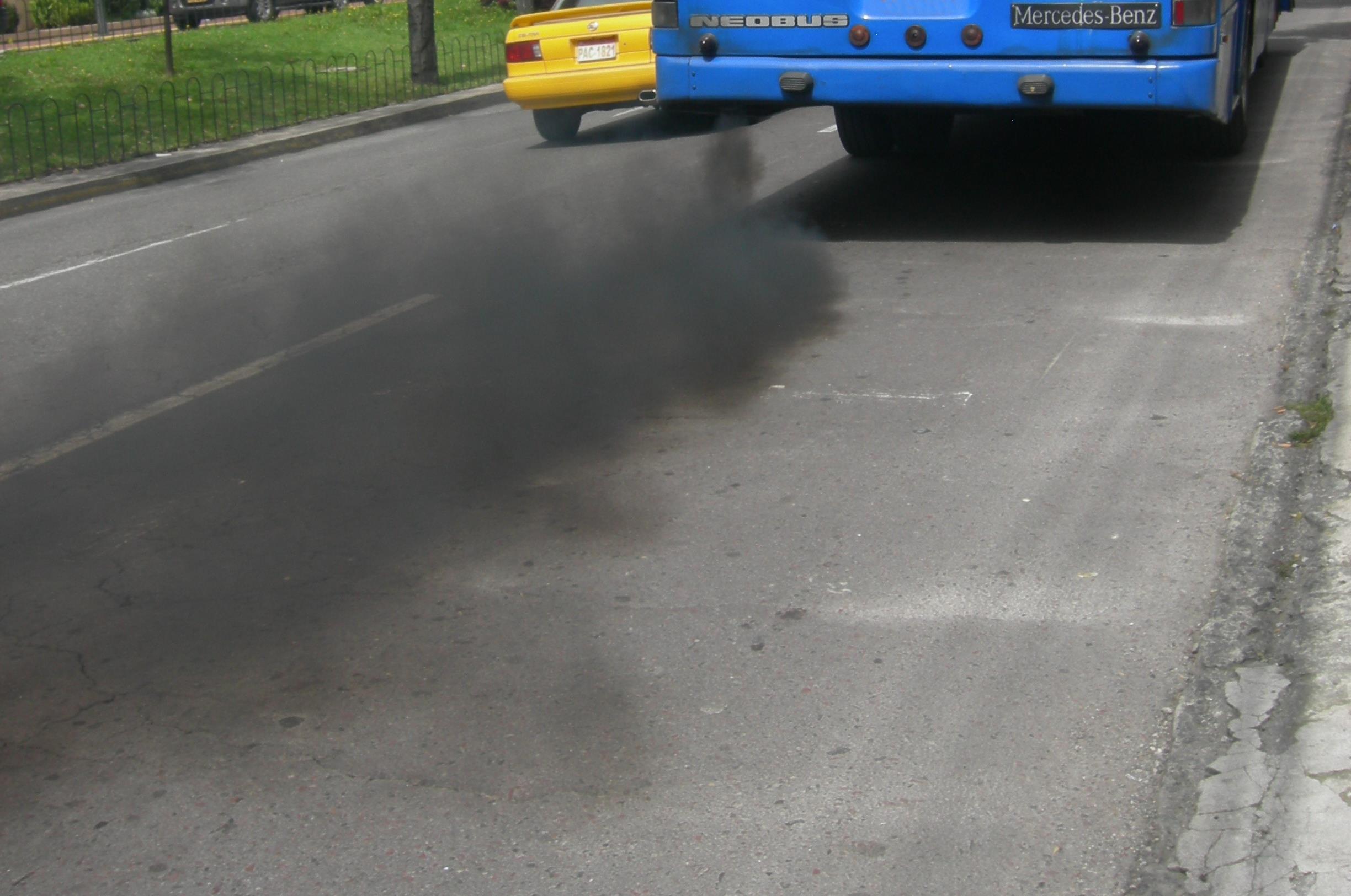 How much damage does driving cause to the environment?