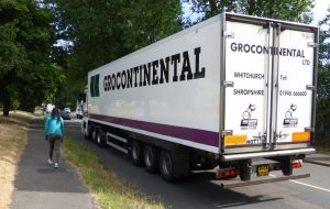 What are lateral protection devices and side underrun protection?